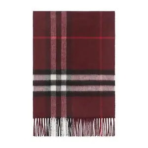 Burberry Scarves - Multicolor