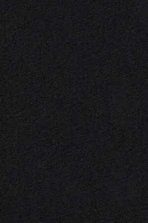 ANN DEMEULEMEESTER Clothing Skirts