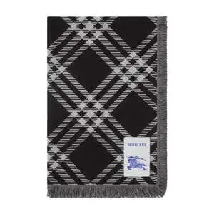 Burberry Scarves