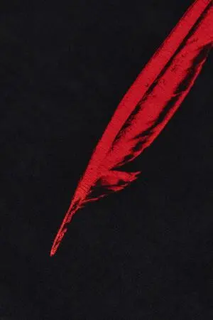 ANN DEMEULEMEESTER Clothing Sweatshirts