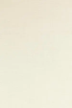 Max Mara Accessories Scarves & Shawls