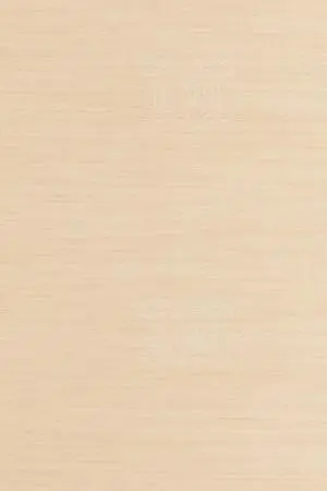 Max Mara Accessories Scarves & Shawls
