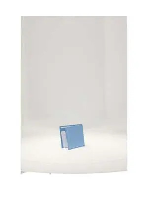 Celine Bi-fold Wallet With Coin
