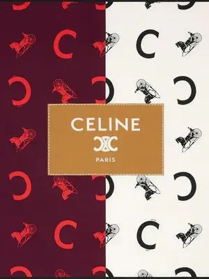 Celine Printed Silk Foulard - Multicolor