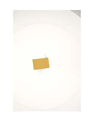 Celine Zipped Card Holder