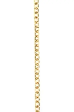 Chloé Metal Chain Script Belt
