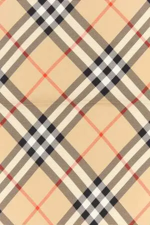 Burberry Printed Silk Foulard