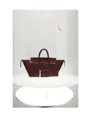 Celine Medium New Luggage - Multicolor