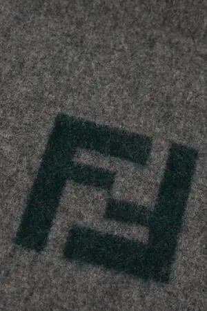 Fendi Accessories Scarves & Shawls