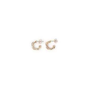 Bottega Veneta Brass Earrings - Silver