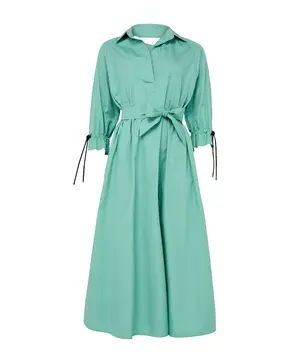 Max Mara Belted Maxi Dress