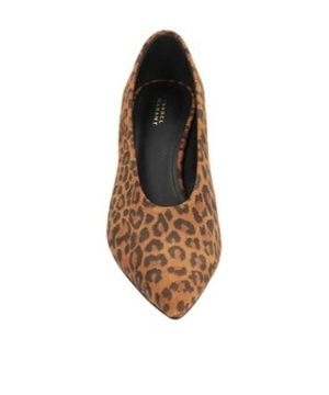 Isabel Marant Étoile Leopard Print Pointed Toe Stiletto Pumps