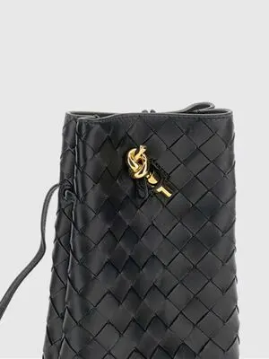 Bottega Veneta Case