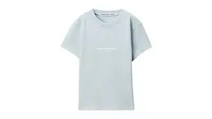 Alexander Wang Shrunken Short Sleeve Logo Print Tee Shirt - Tan