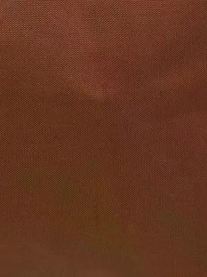 Longchamp Le Pliage Tote Bag