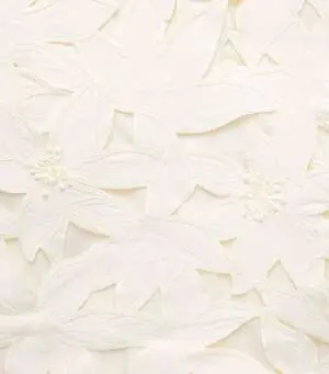 Simkhai Broderie Anglaise Neve Midi Dress