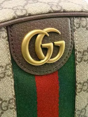 Gucci Ophidia Gg Supreme Backpack