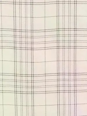 Destin Check-pattern Fringed Scarf