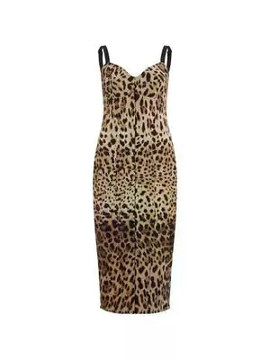 Dolce & Gabbana Leopard-print Midi Dress