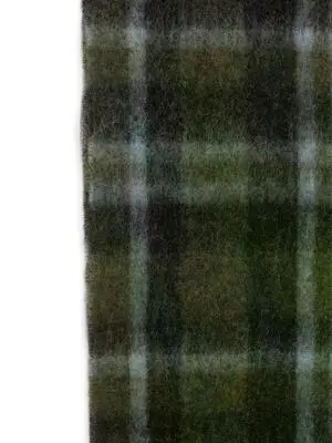 Closed Check-pattern Fringed Scarf
