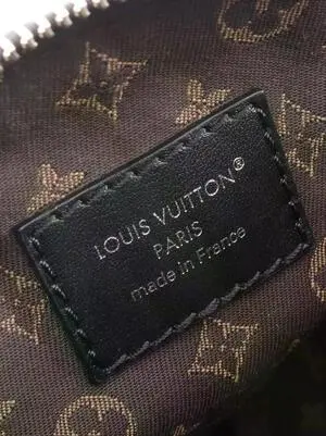 LOUIS VUITTON Biker Pm Two-way Handbag