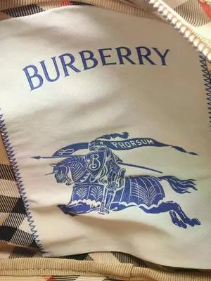 Burberry 2023-2026 Supernova Check Canvas Crossbody Bag
