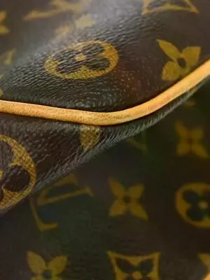 LOUIS VUITTON 2008 Monogram Multipli Cite Tote Bag