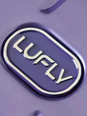 LUFLY Classic Carry-on Suitcase