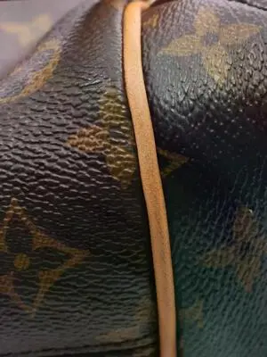 LOUIS VUITTON 2013 Pm Totally Monogram Tote Bag