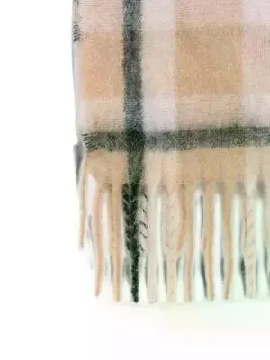 Closed Check-pattern Fringed Scarf