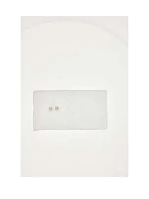 Dior Oblique Earrings