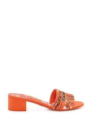 Dolce & Gabbana DOLCE & GABBANA Embroidered Slide Sandals Multicolor/orange