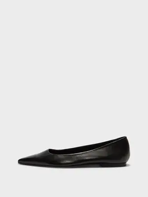 AeydĒ Cassy Pointed-toe Flats