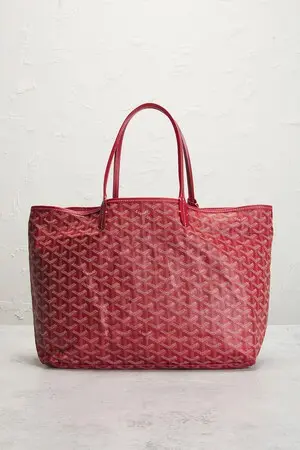Goyard Saint Louis Pm Tote Bag