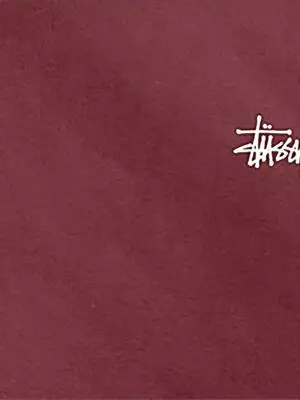 StÜssy Logo-print T-shirt