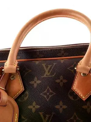 LOUIS VUITTON Monogram Canvas Garment Cover Travel Bag - Brown