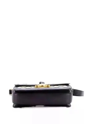 Celine Triomphe Triomphe Canvas Medium Shoulder Bag