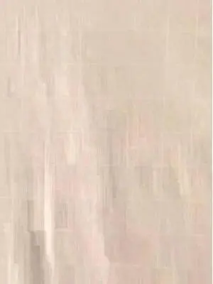 Fabiana Filippi Scarfs