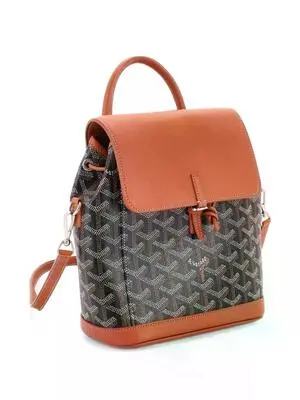 Goyard Alpin Coated Canvas Mini Backpack