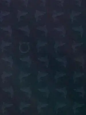 FERRAGAMO Shark Print Jacquard Scarf