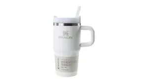 STANLEY The Quencher H2.0 Flowstate 20oz Tumbler Frost