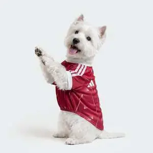 Adidas Pet Jersey Liverpool Fc