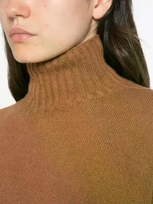 WHYCI Roll-neck Ribbed-trim Sweater