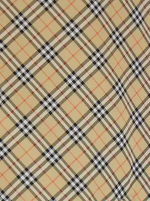 Burberry Slindon Check Motif Tech Fabric Jacket - Multicolor