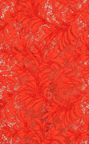 FRANCESCA MIRANDA Oriana Lace Skirt