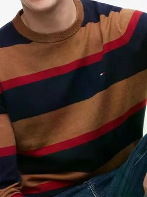 Tommy Hilfiger Striped Crew-neck Sweater