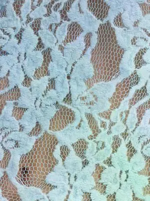 RÉSUMÉ Lace V-neck Top