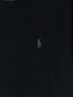 Polo Ralph Lauren Merino Wool Sweater