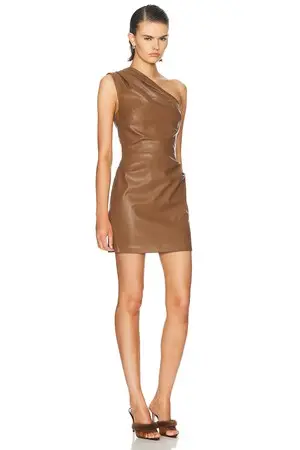 Ronny Kobo Pelle Dress