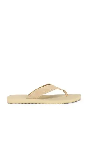 Vince Fiji Suede Thong Sandal In Brown